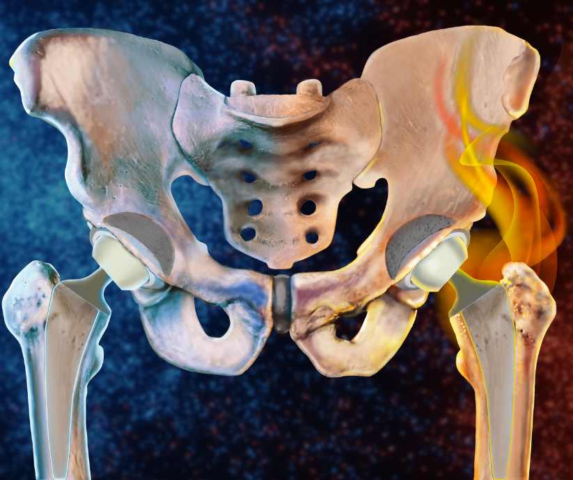 AHF 2026 Fellows and Residents - AHF